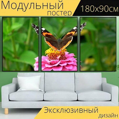 Модульный постер "Бабочка, насекомое, цинния цветок" 180 x 90 см. для интерьера