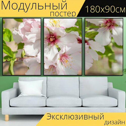 Модульный постер "Цветы миндаля, цветущий миндаль, весна" 180 x 90 см. для интерьера