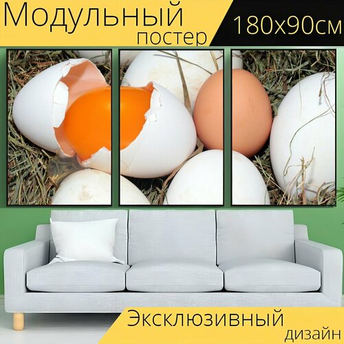Модульный постер "Яйца, гусиные яйца, куриное яйцо" 180 x 90 см. для интерьера