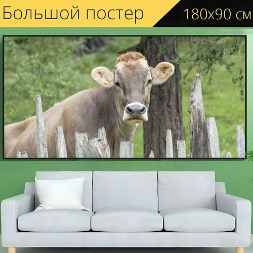 Большой постер "Тирольский серый, корова, крупный рогатый скот" 180 x 90 см. для интерьера