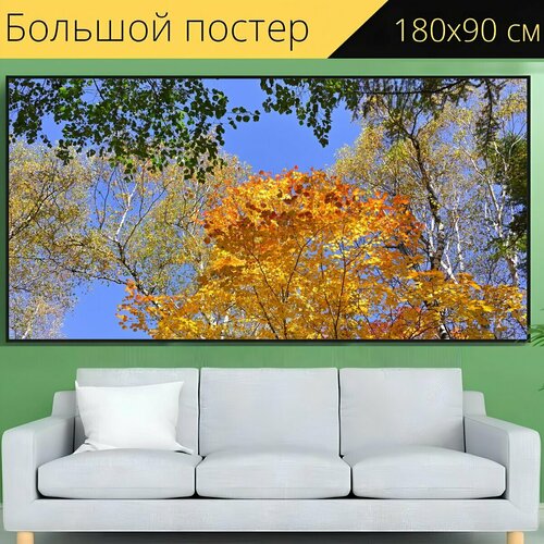 Большой постер "Осенние листья, синее небо, широкий угол" 180 x 90 см. для интерьера