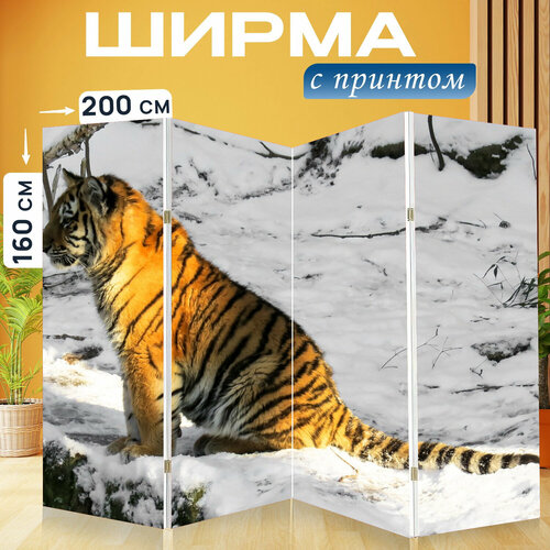 Ширма перегородка с принтом "Тигр, тигренок, большой кот" на холсте - 200x160 см. для зонирования, раскладная