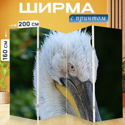 Ширма перегородка с принтом "Пеликан, птица, глаз" на холсте - 200x160 см. для зонирования, раскладная