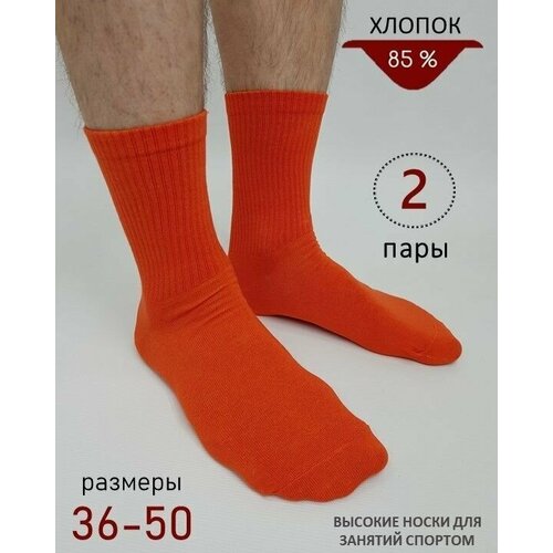 Носки BIZ-ONE, 2 пары, размер 42-43, оранжевый