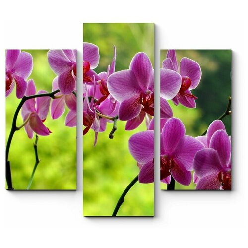 Модульная картина Неподражаемые орхидеи 90x81