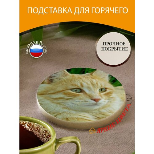 Подставка под горячее "Кошка, кошки, млекопитающее" 10 см. из блого мрамора