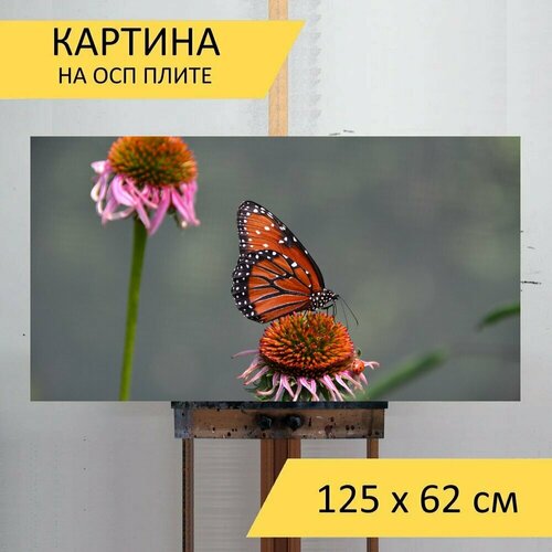 Картина на ОСП 125х62 см. "Бабочка, цветок, апельсин" горизонтальная, для интерьера, с креплениями