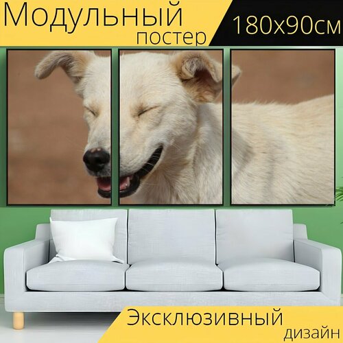 Модульный постер "Улыбка, собака, счастливый" 180 x 90 см. для интерьера