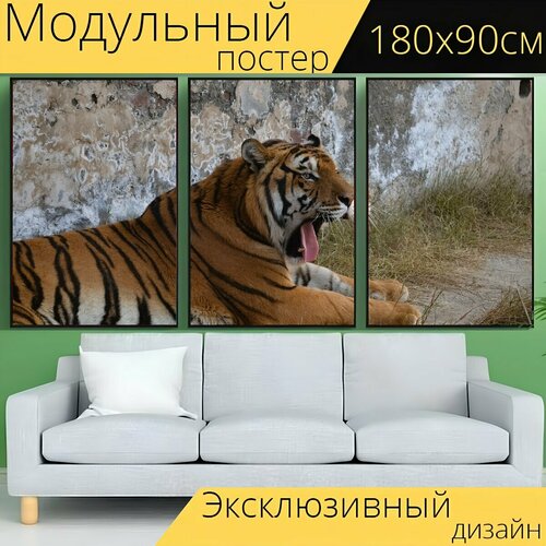 Модульный постер "Тигр, дикая природа, животное" 180 x 90 см. для интерьера