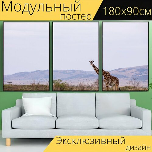 Модульный постер "Жирафа, длинная шея, пятна" 180 x 90 см. для интерьера