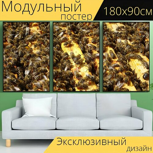 Модульный постер "Пчела, пчелы, улей" 180 x 90 см. для интерьера