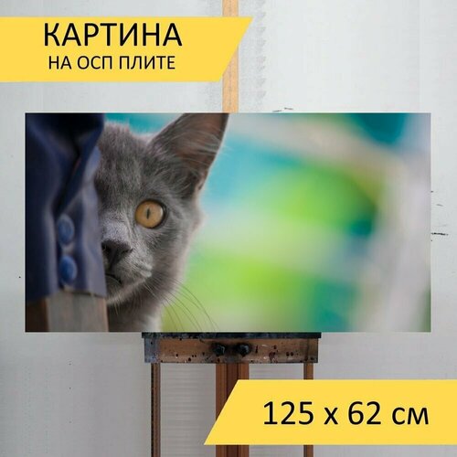 Картина на ОСП 125х62 см. "Котенок, кот, талисман" горизонтальная, для интерьера, с креплениями