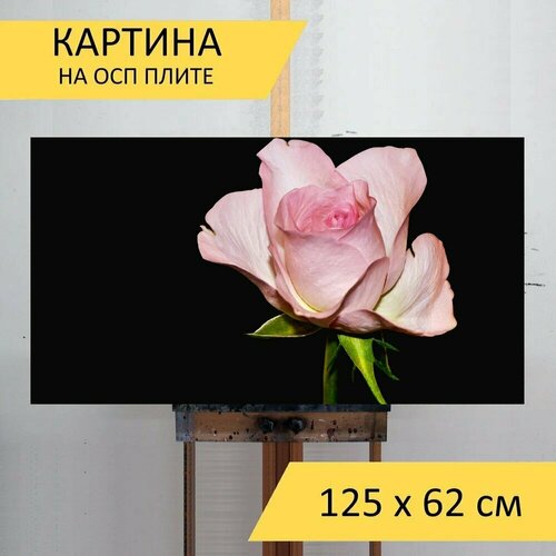 Картина на ОСП 125х62 см. "Роза, цвести, цветок" горизонтальная, для интерьера, с креплениями