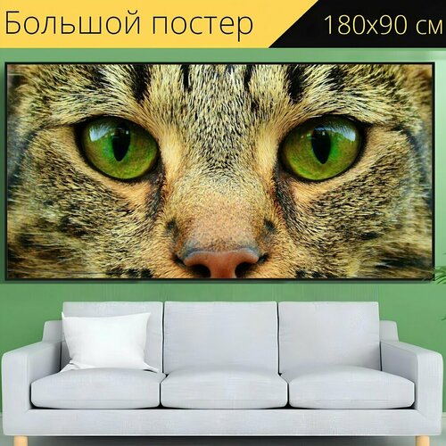 Большой постер "Кошка, кошачий, портрет" 180 x 90 см. для интерьера