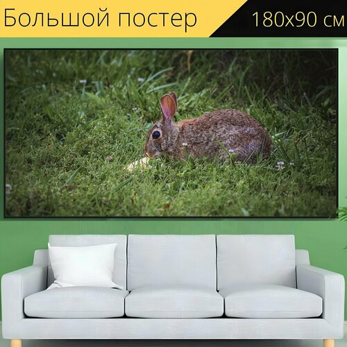 Большой постер "Кролик, млекопитающее, животное" 180 x 90 см. для интерьера