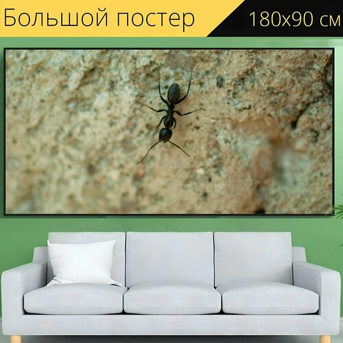 Большой постер "Насекомое, муравей, природа" 180 x 90 см. для интерьера