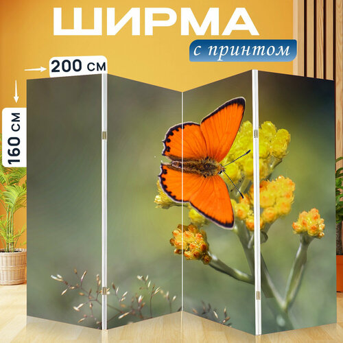 Ширма перегородка с принтом "Бабочка, насекомое, цветок" на холсте - 200x160 см. для зонирования, раскладная