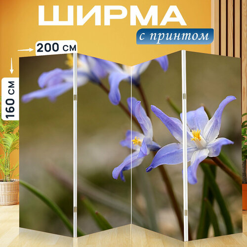 Ширма перегородка с принтом "Цветок, весна, природа" на холсте - 200x160 см. для зонирования, раскладная