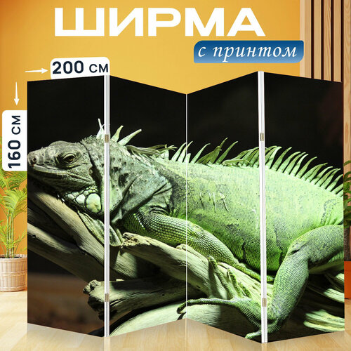 Ширма перегородка с принтом "Игуана, рептилия, ящерица" на холсте - 200x160 см. для зонирования, раскладная