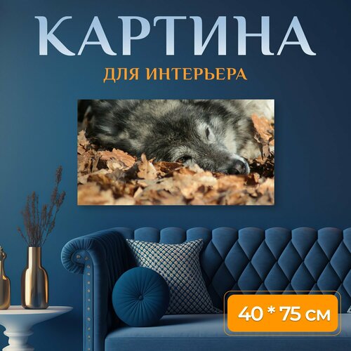 Картина на холсте "Волкодав, собака, животное" на подрамнике 75х40 см. для интерьера