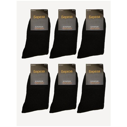 Носки Береза, 3 пары, размер 42-48, черный