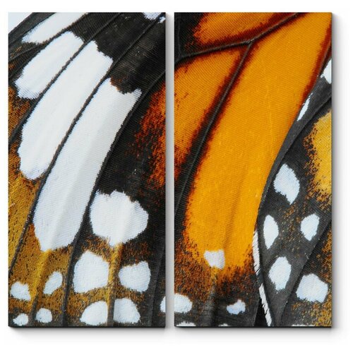 Модульная картина Крылья бабочки 50x50
