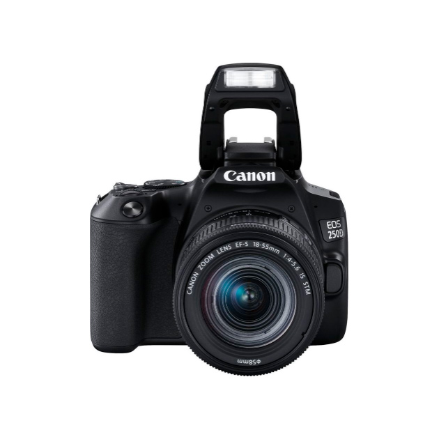 Фотоаппарат зеркальный Canon EOS 250D 18-55mm IS STM 3454C002 Black
