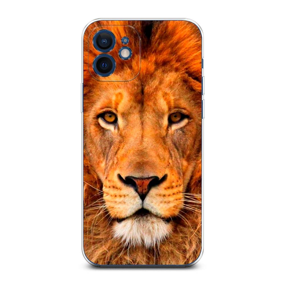 Чехол на Apple iPhone 12 Mini "Благородный лев"