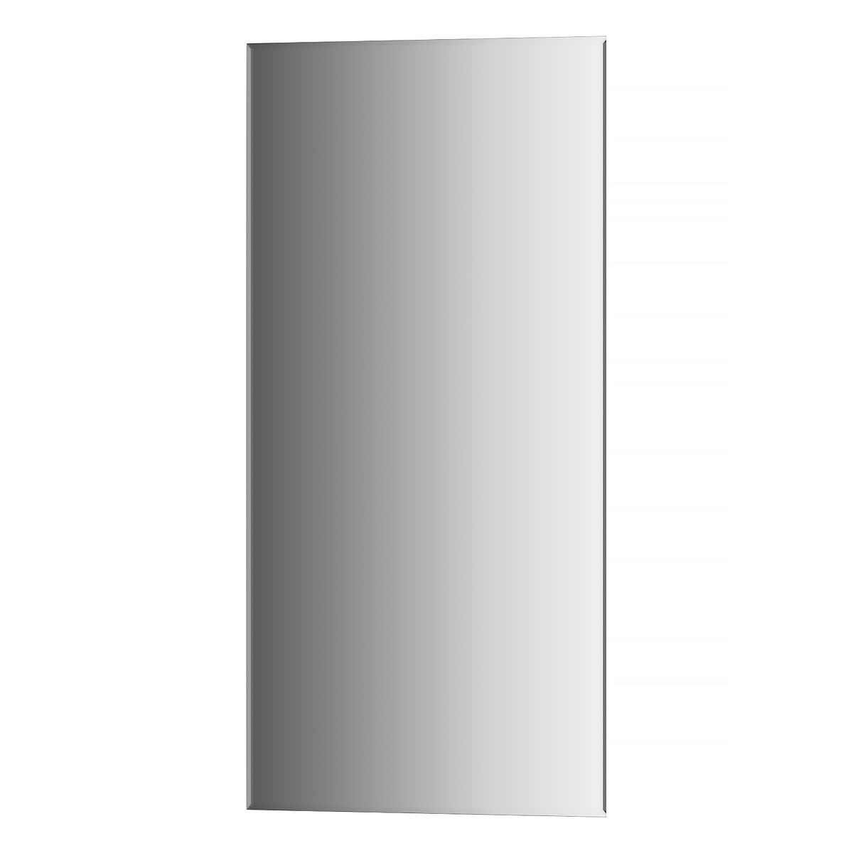 Зеркало настенное с фацетом FACET 5 EVOFORM 30x60 см, SP 9793