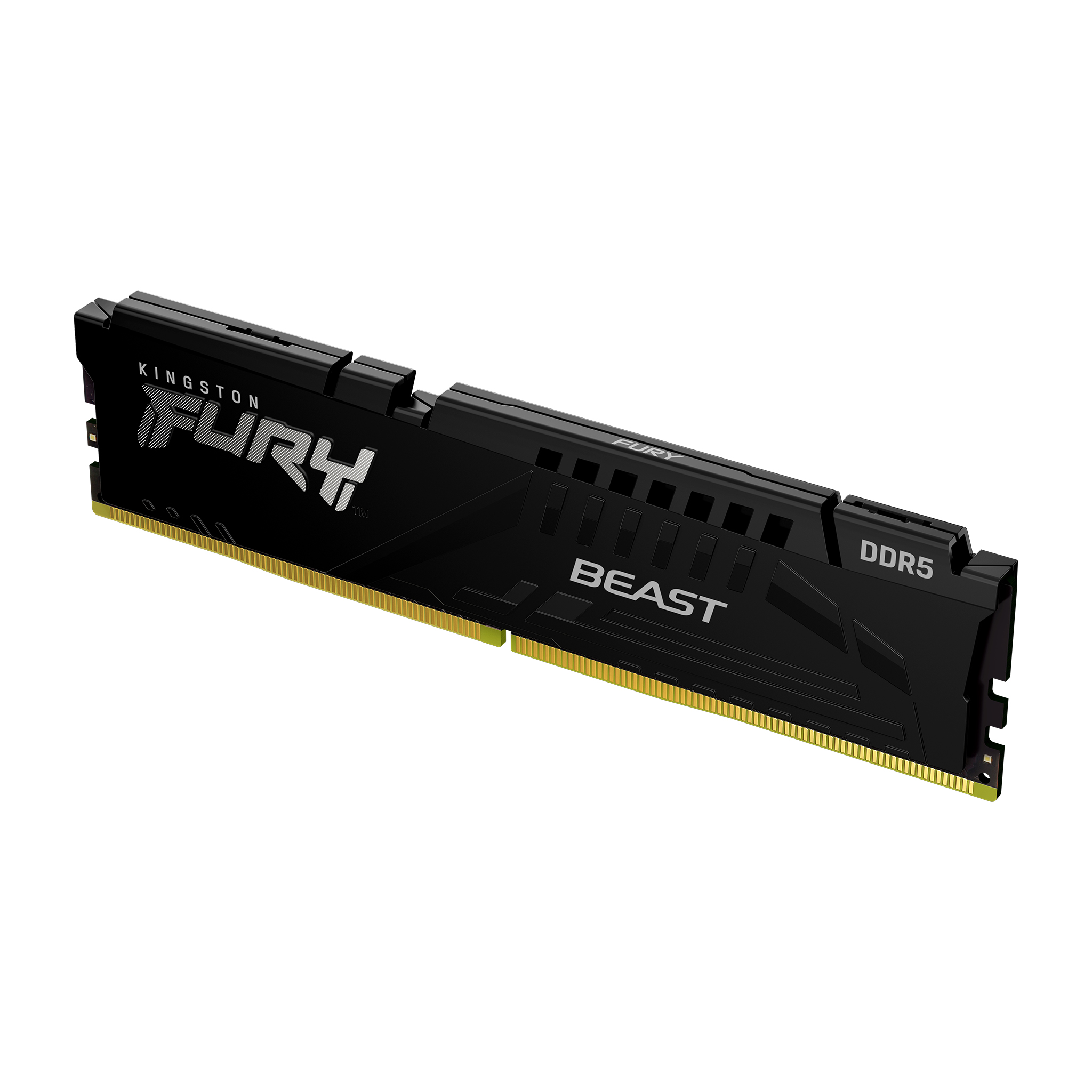 Оперативная память Kingston Fury Beast (KF556C40BB-16) DDR5 1x16Gb 5600MHz