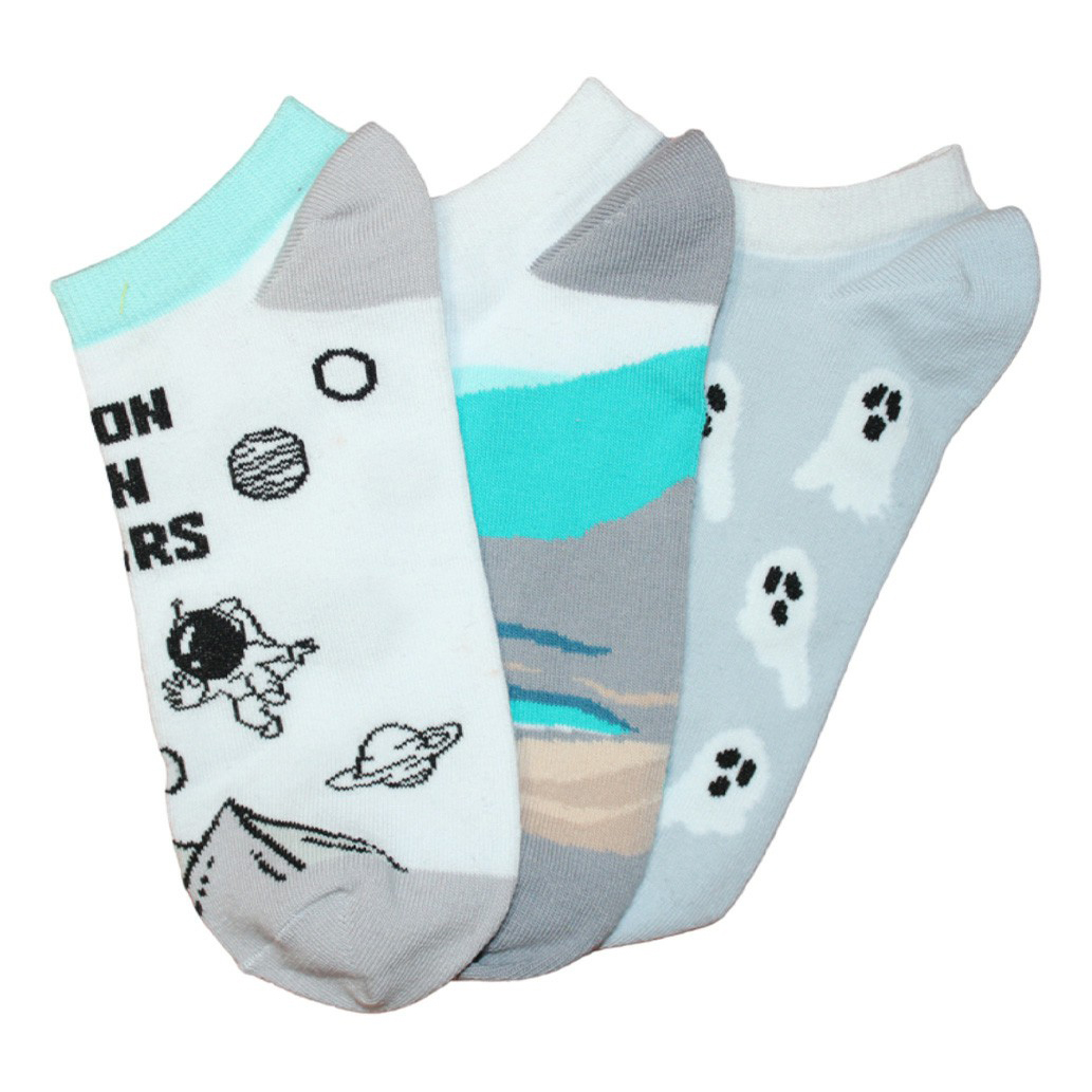 Комплект носков мужских Master Socks в ассортименте 3 пары