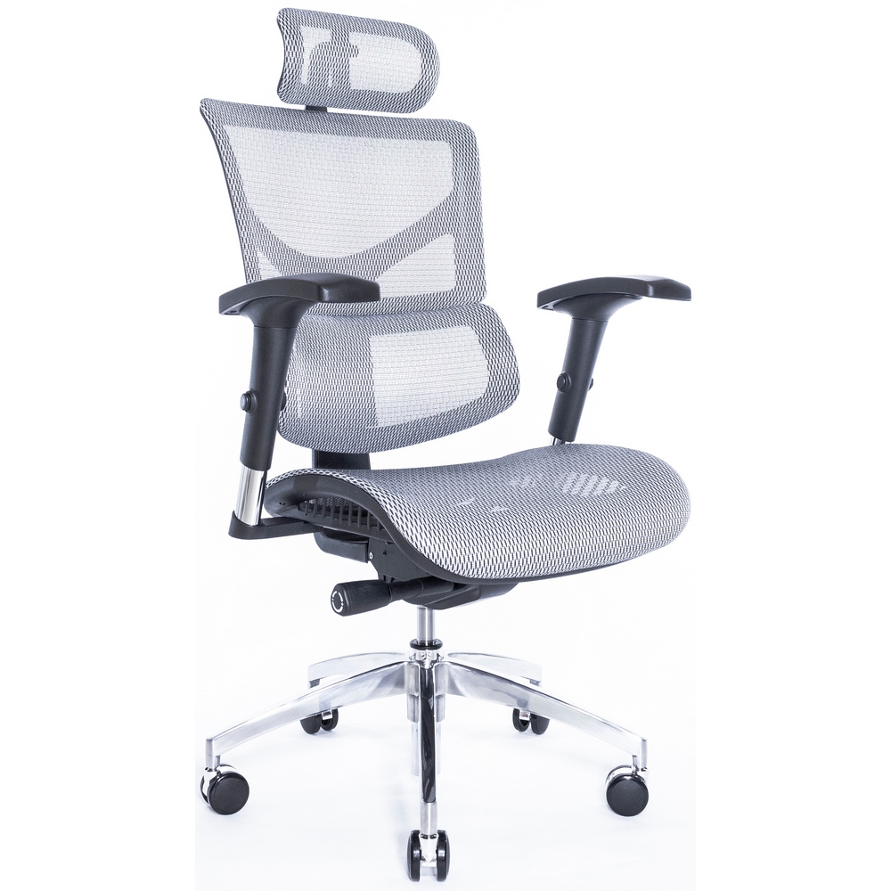 Эргономичное офисное кресло Expert Sail Art SAS-MF01 /сетка белая/ каркас черный