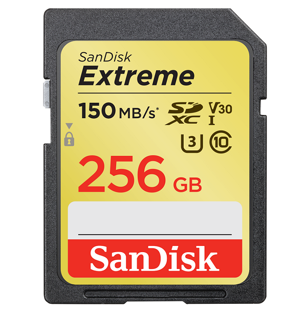Карта памяти SanDisk 256GB Extreme SDXC (SDSDXV5-256G-GNCIN)
