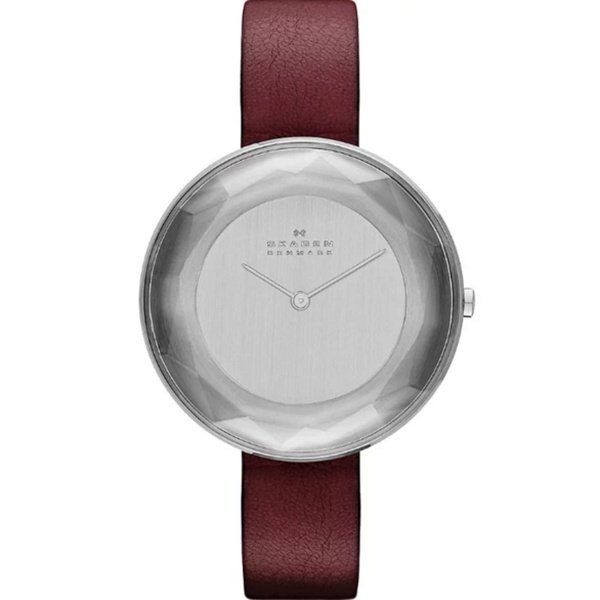 Наручные часы женские Skagen SKW2273