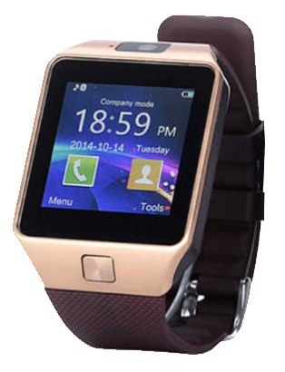 Смарт-часы CARCAM Smart Watch DZ09 Gold/Black