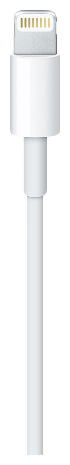 Кабель Apple Lightning 0,5м White (ME291ZM/A)
