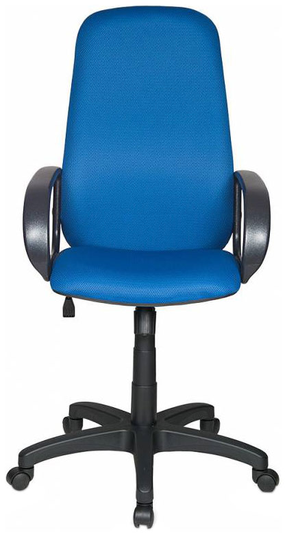 Кресло руководителя Бюрократ CH-808AXSN/TW-10, синий