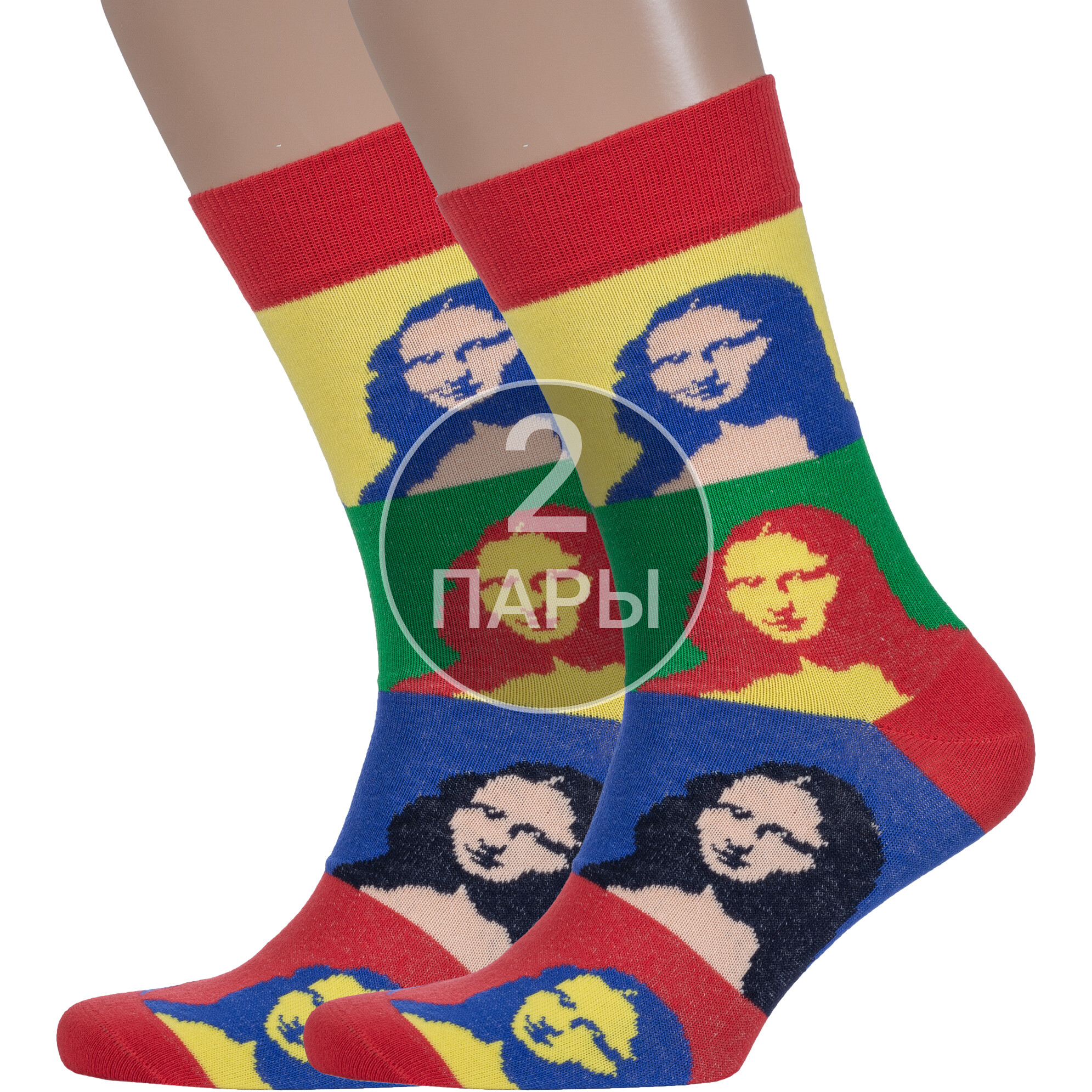 Комплект носков мужских Борисоглебский трикотаж 2-4С13 разноцветных 27-29, 2 пары