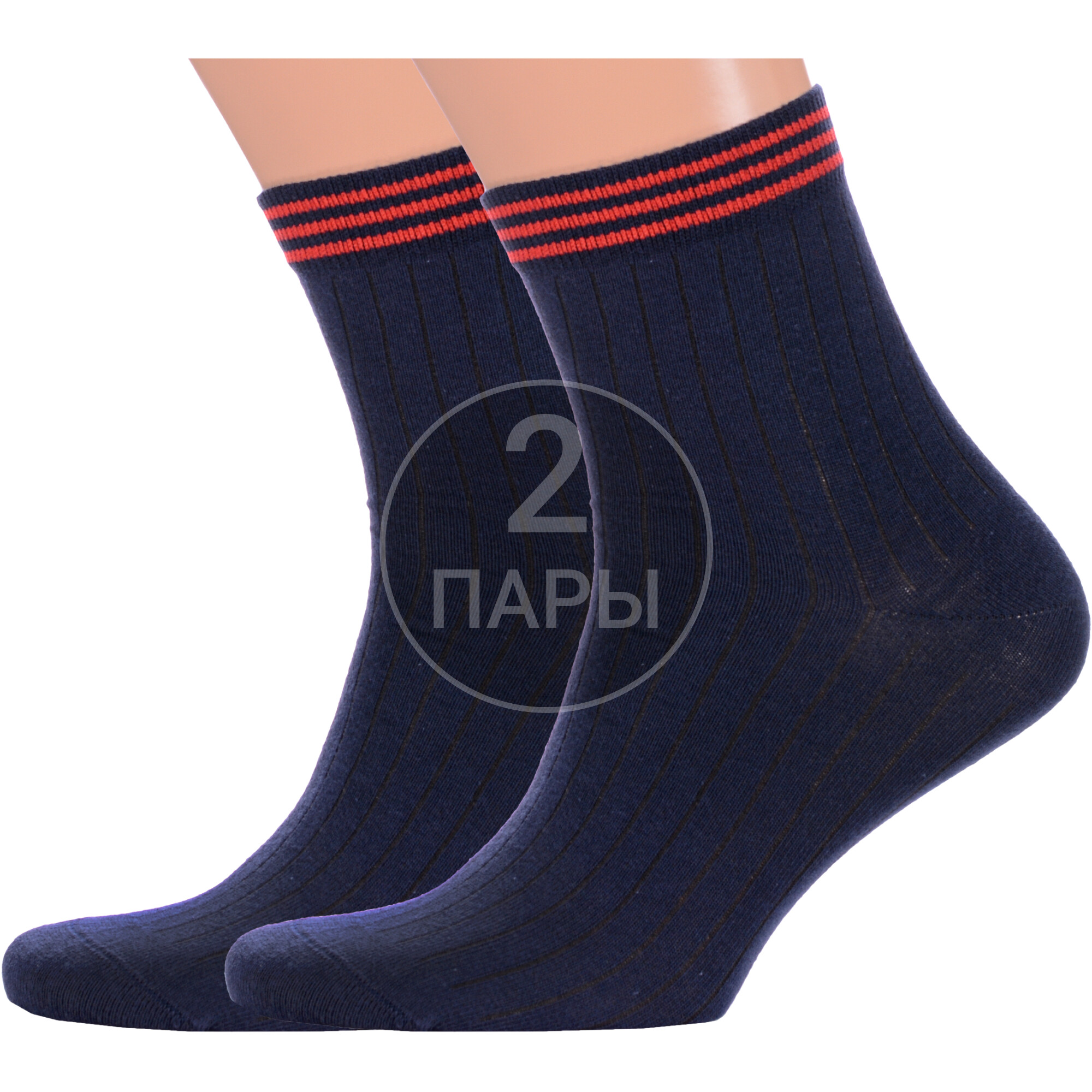Комплект носков мужских Красная Ветка 2-С-2038 синих 27