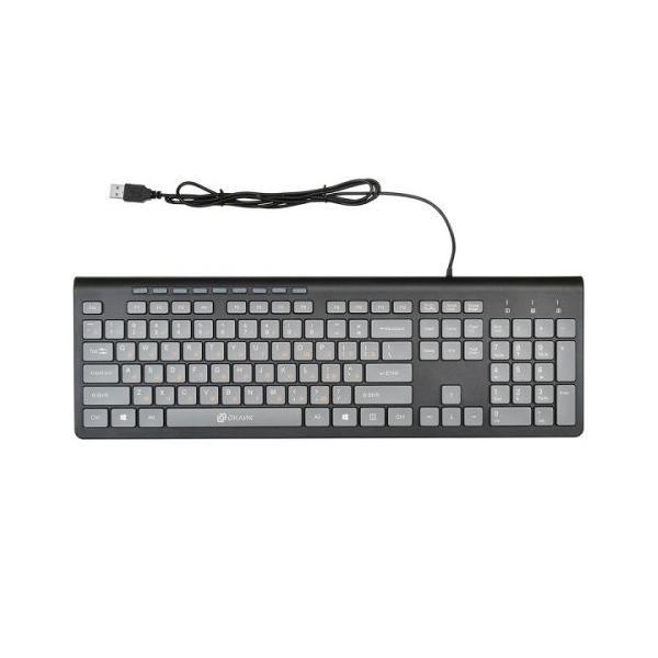 Проводная клавиатура OKLICK 480M Black/Gray