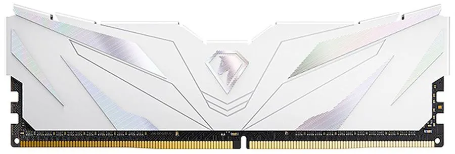 Оперативная память Netac (NTSWD4P36SP-08W), DDR4 1x8Gb, 3600MHz