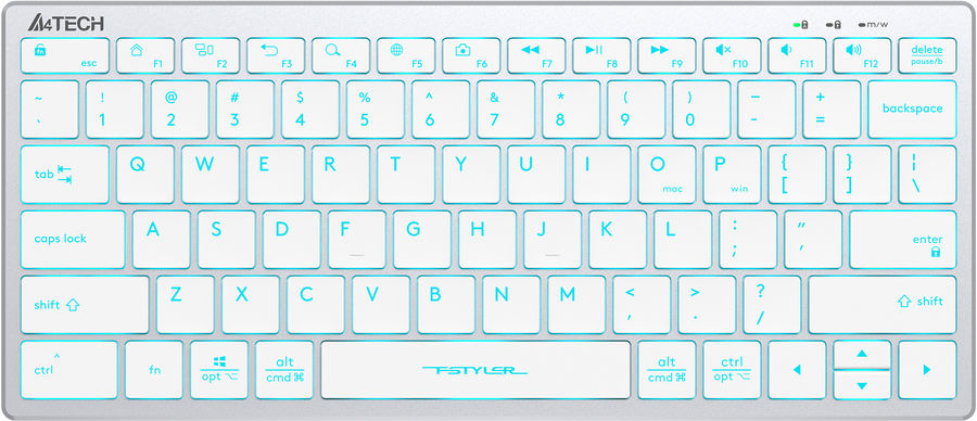 Проводная клавиатура A4Tech Fstyler FX61 White